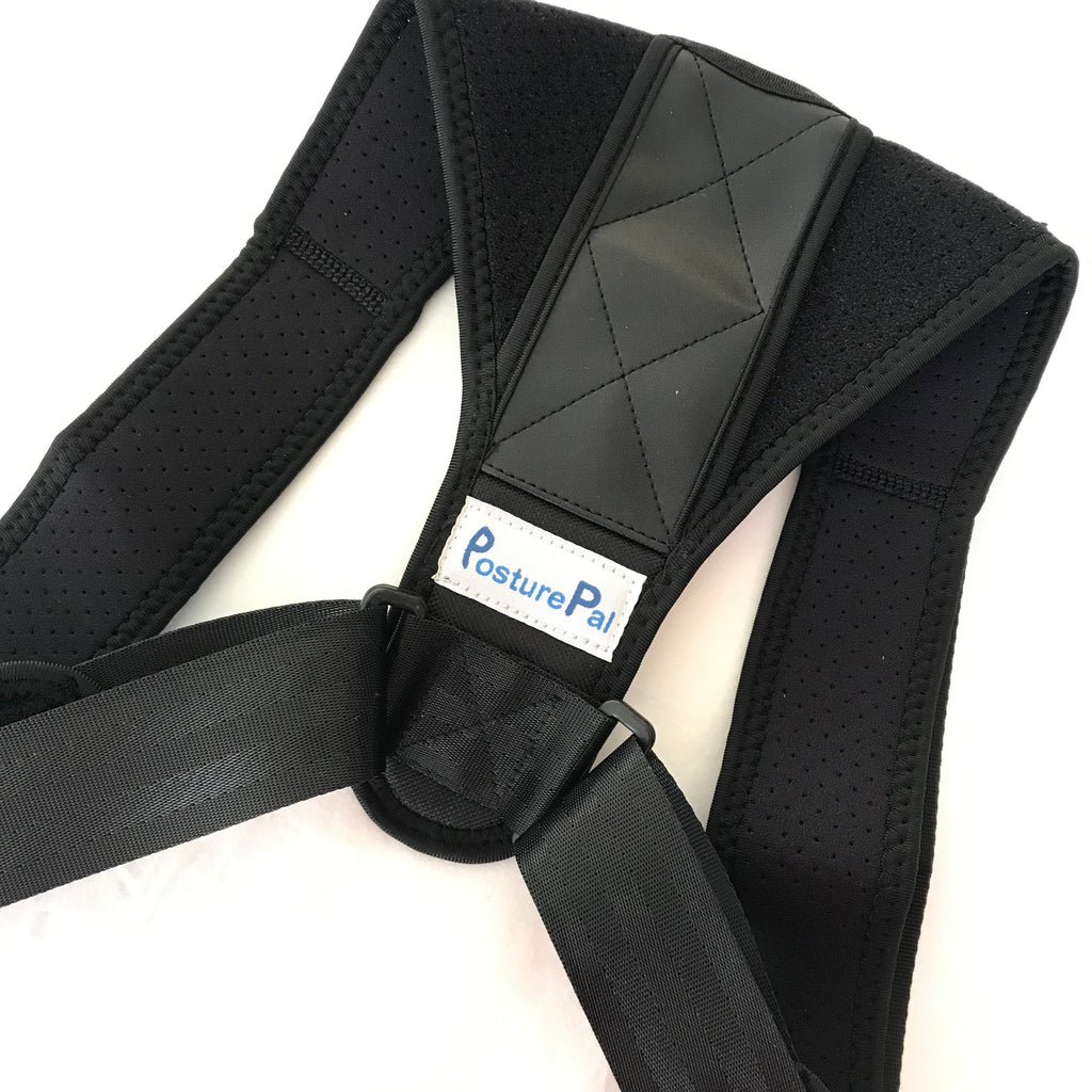 Posture Pal © Pro – The Posture Pal